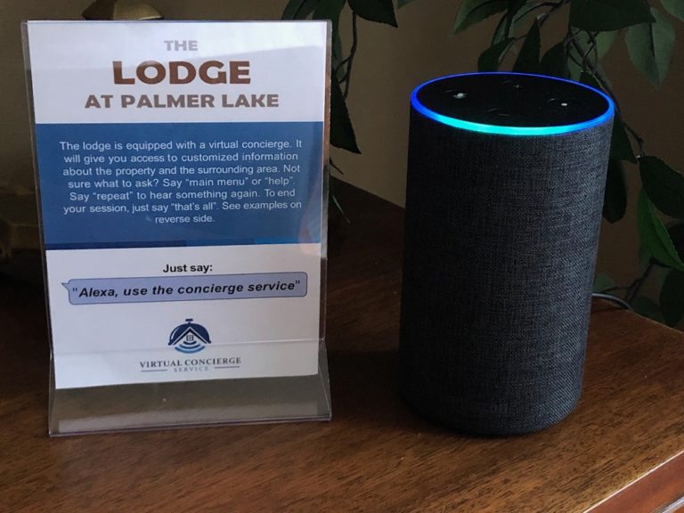 The custom virtual concierge: Disruptions and solutions in voice tech