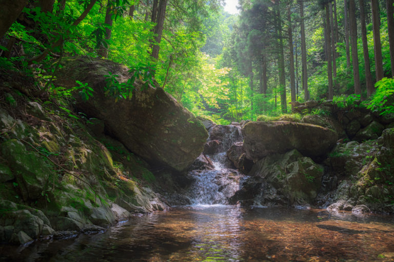 Hinohara village: The rural spot in Tokyo where nature abounds