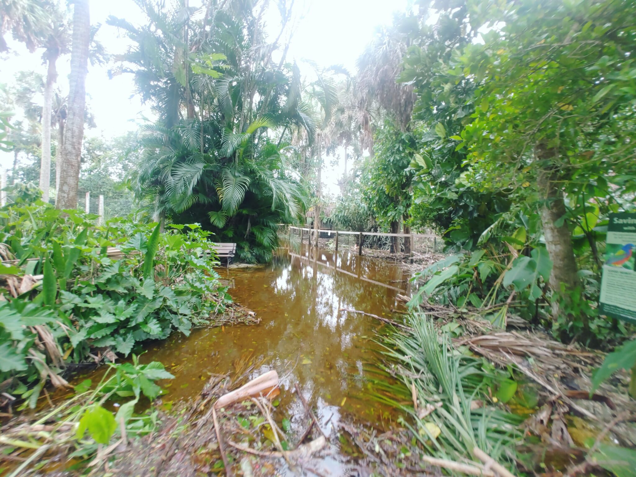 SeaWorld Conservation Fund makes 10 emergency grants to help wildlife ...