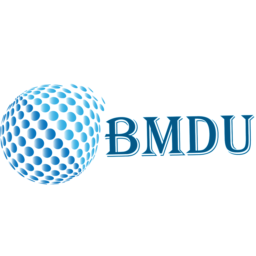 BM Digital Utilization LLP – Brand TD