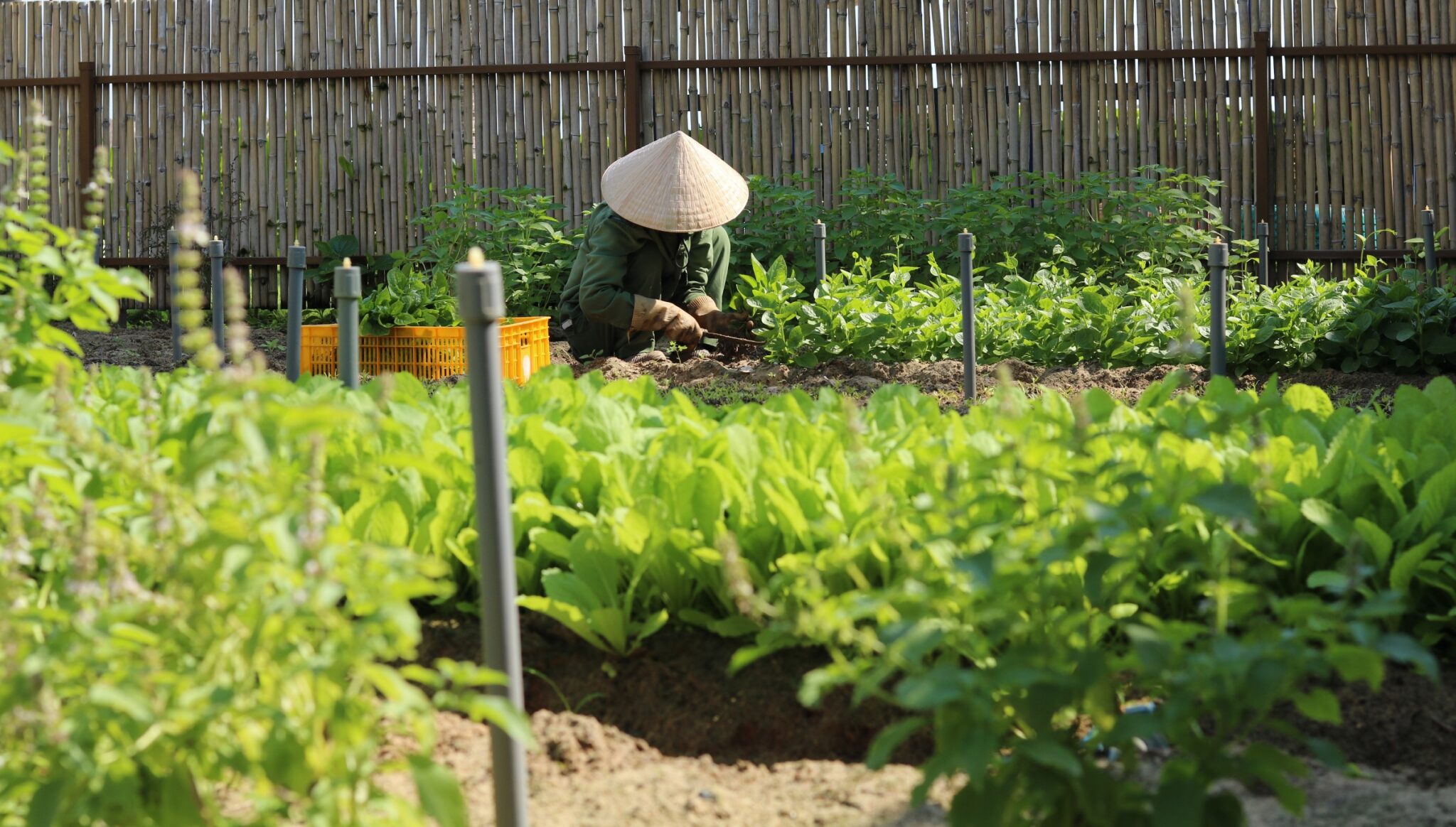 Hotels and resorts across Asia with their own farms