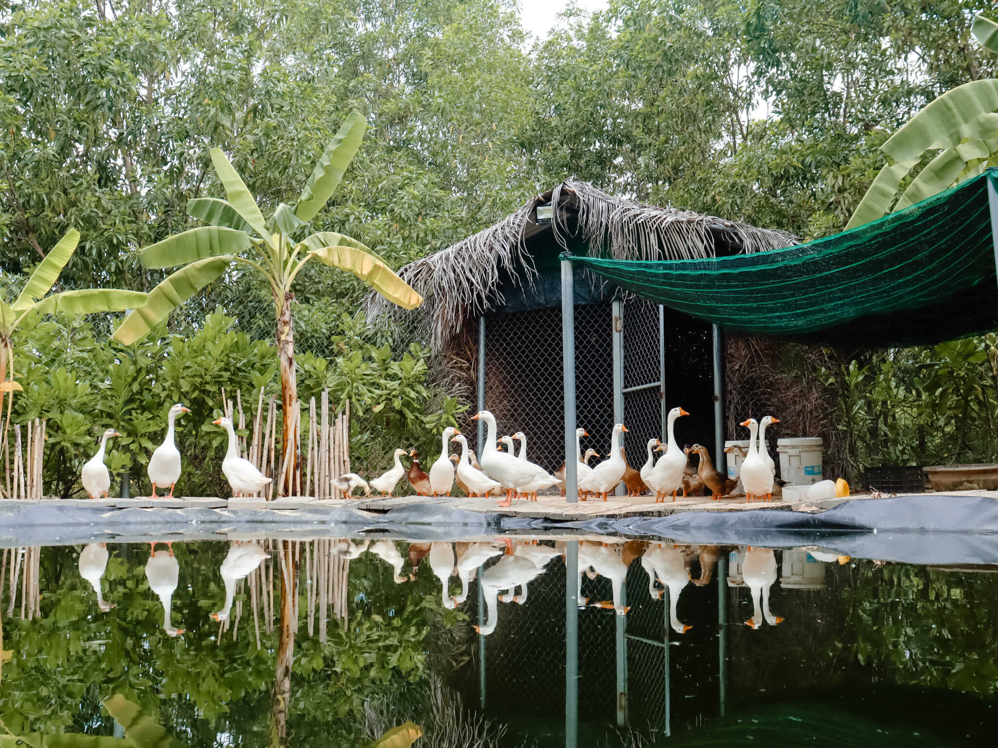 Hotels and resorts across Asia with their own farms