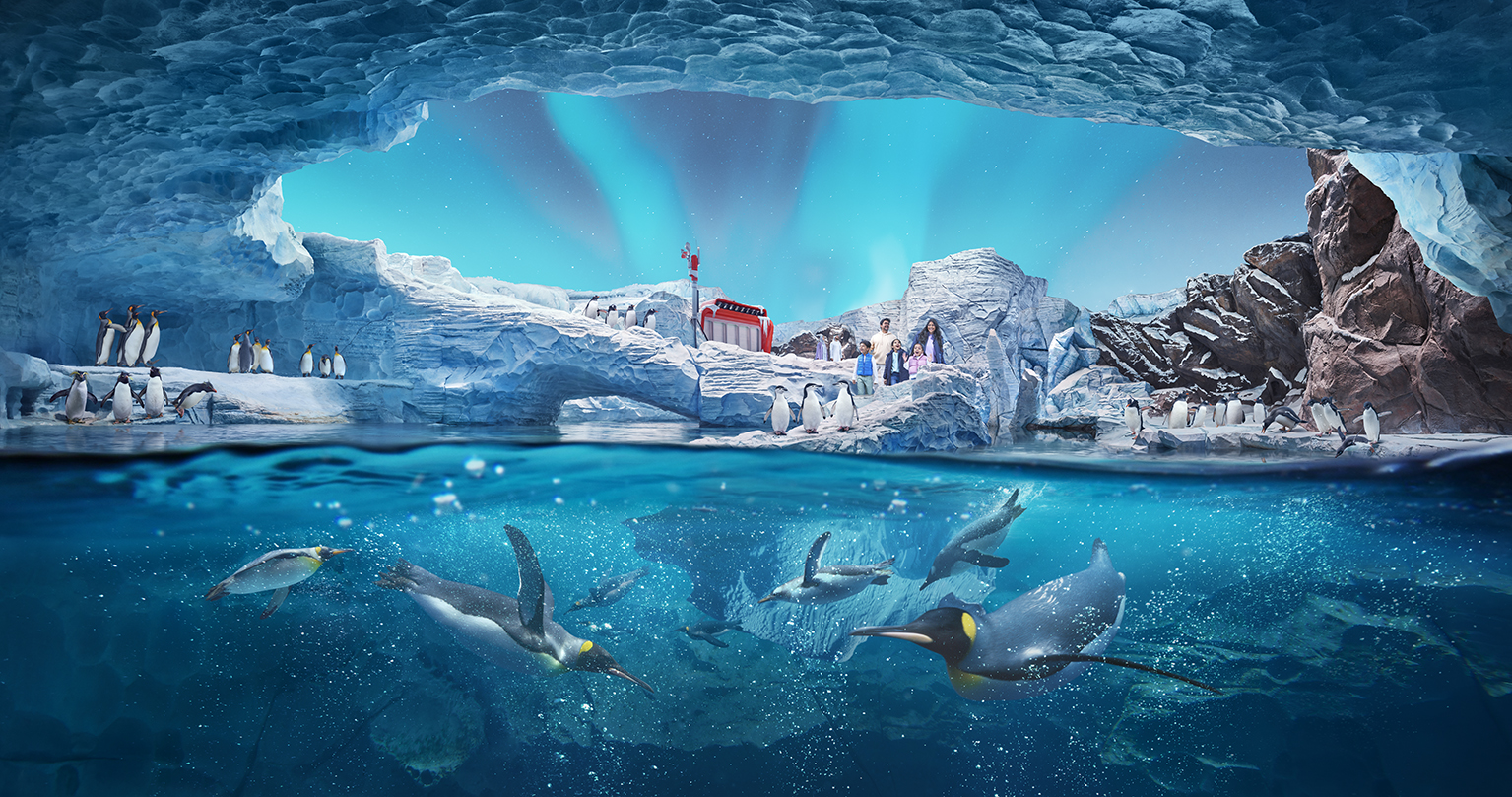 SeaWorld Yas Island, Abu Dhabi unveils its remaining four realms