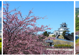 Shizuoka, Japan enhances its ecotourism with new experiences