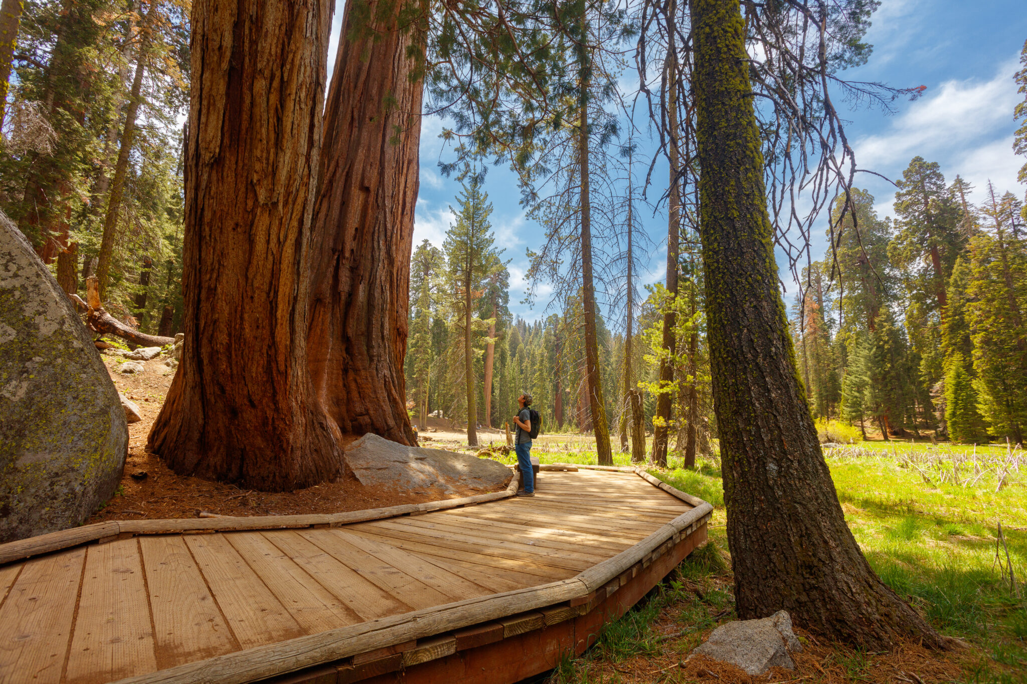 Visalia becomes the first certified Autism Destination in the USA