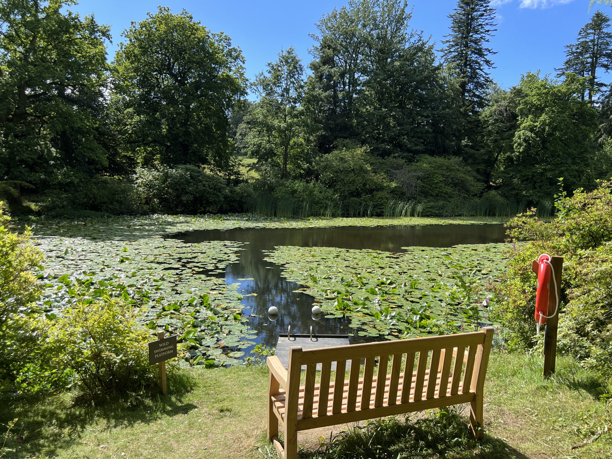 Swinton Estate launches summer wild swimming season on private lake