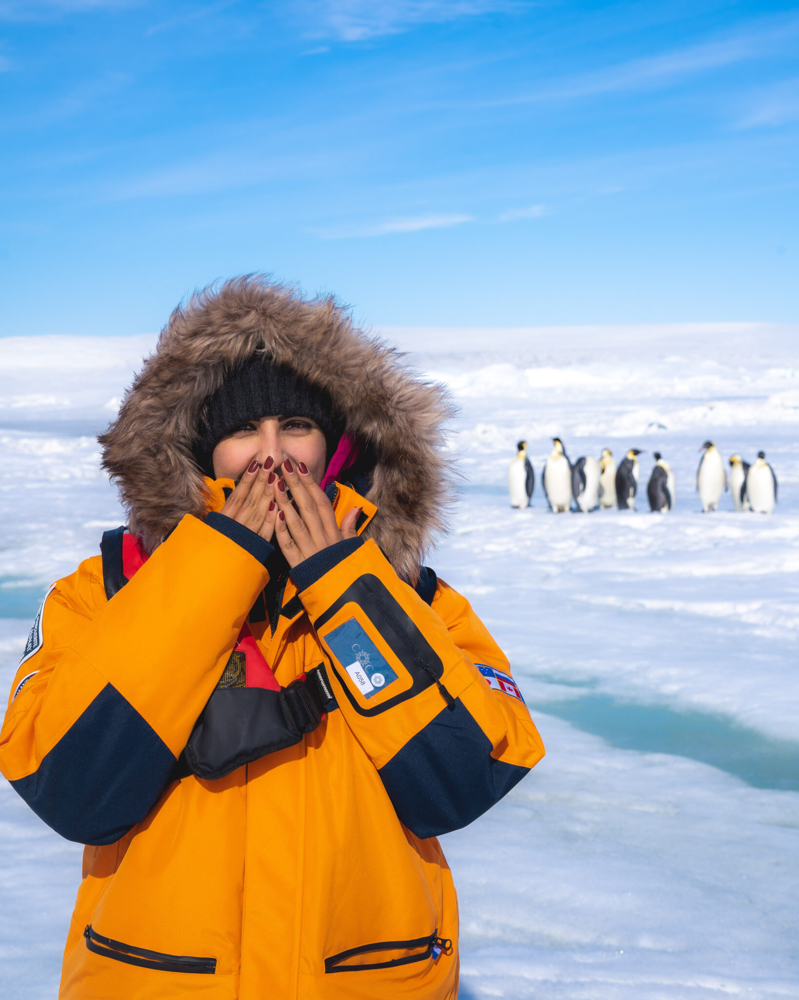 PONANT appoints Bruised Passports as brand ambassadors